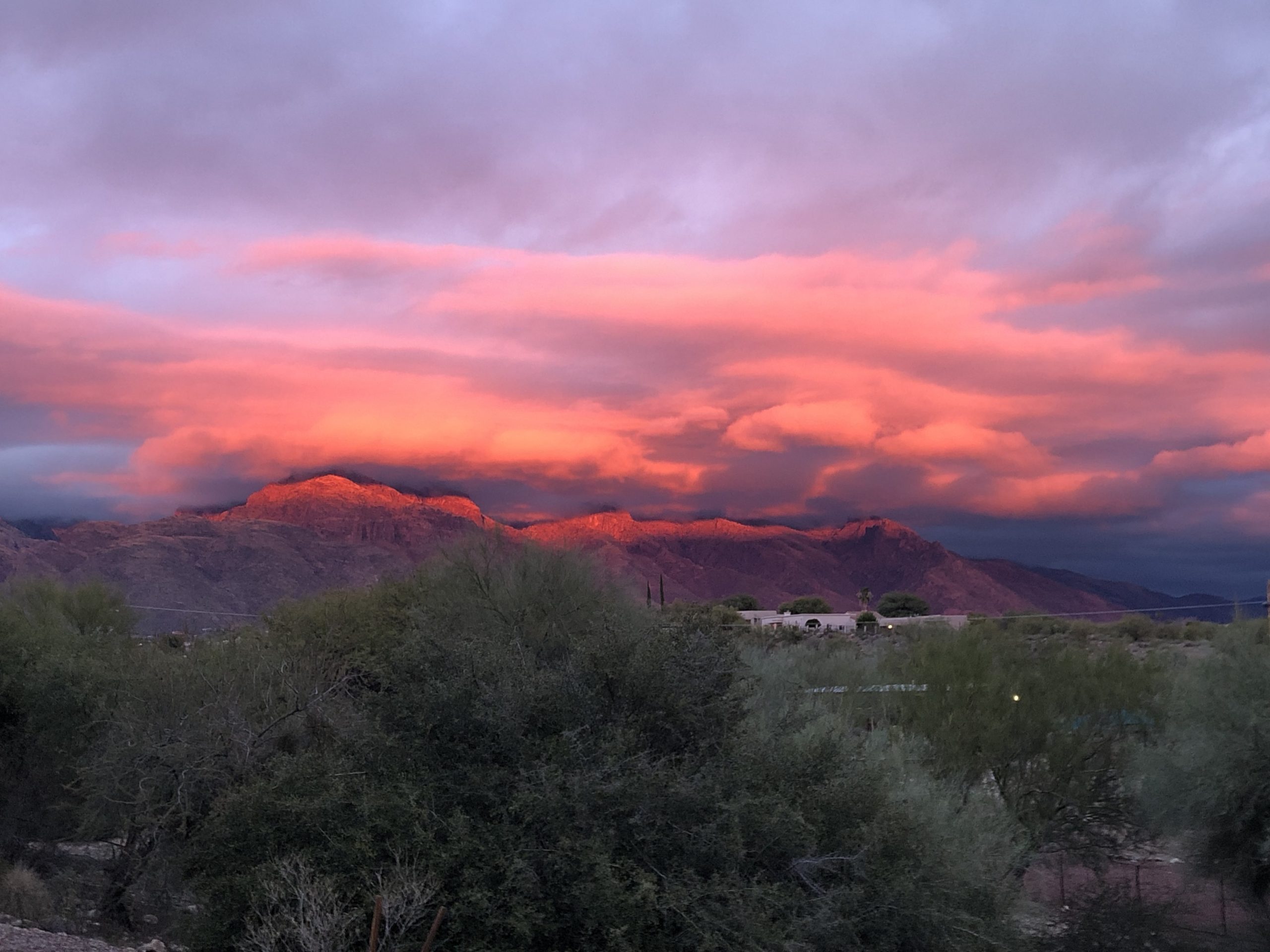 So Majestic, So Intimate – Tom Keefe